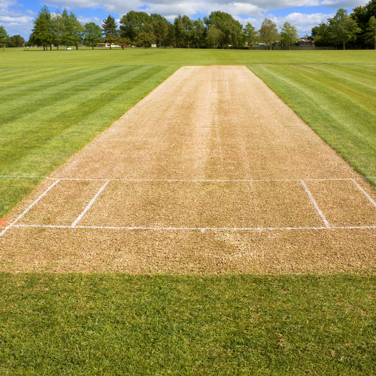 Cricket Pitch – Tennex